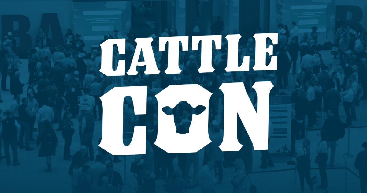 Critical Takeaways from CattleCon 2025 | Swanson Russell